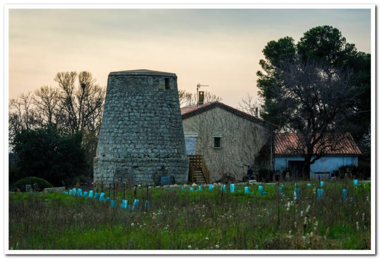 Moulin de Juffet - Mémoire de Montbazin